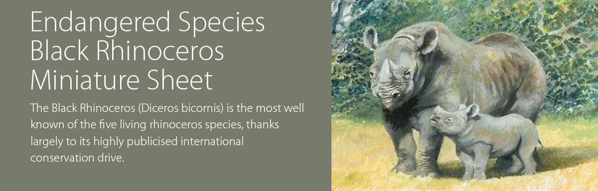 Endangered Species: The Black Rhinoceros