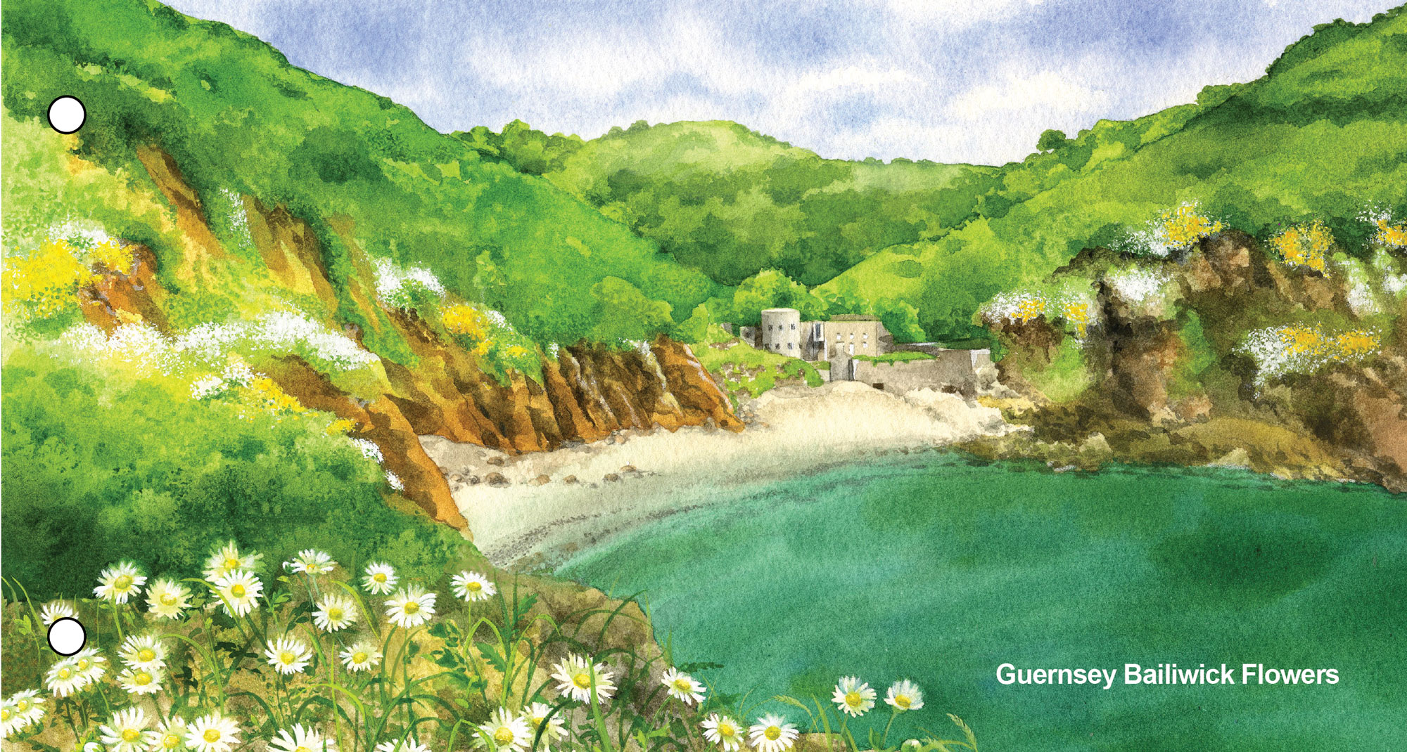 Flowers By Post Guernsey | Best Flower Site