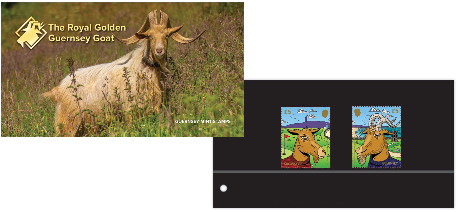 Royal Golden Guernsey Goat Presentation Pack